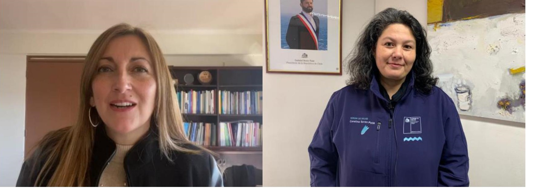 Seremis de Educación y de Salud emiten recomendaciones para evitar ...